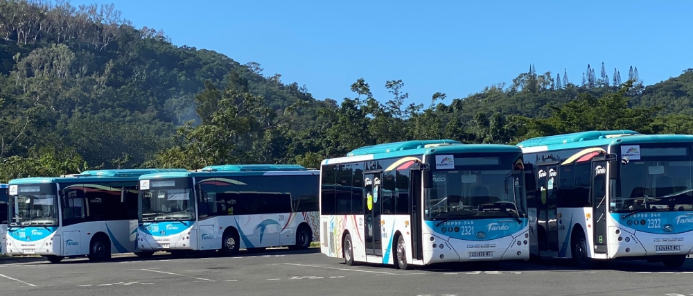 Du mieux sur le réseau Tanéo - La Voix du Caillou