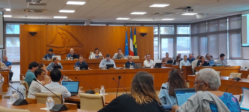 La province Sud adopte son budget supplémentaire - La Voix du Caillou