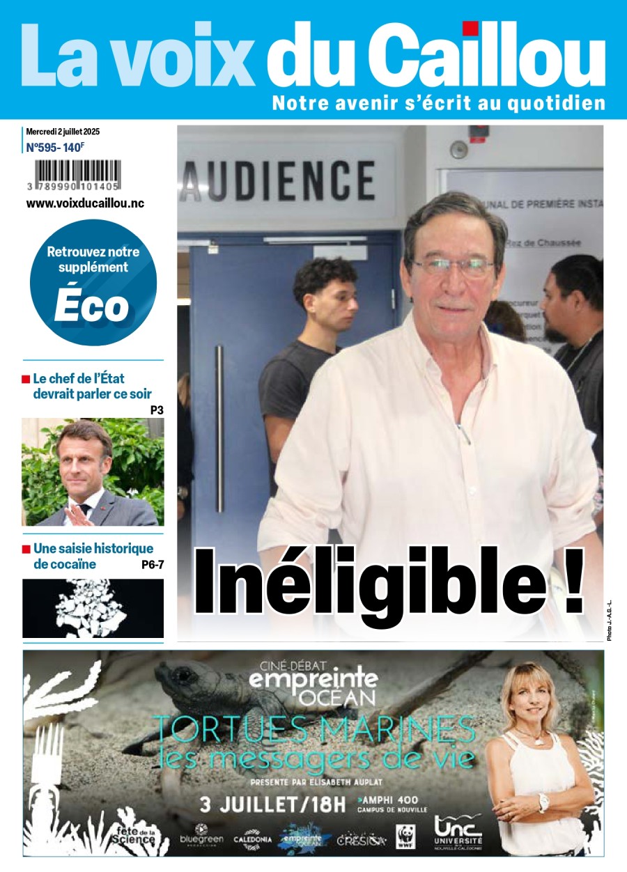 La voix du Caillou #595 - La Voix du Caillou