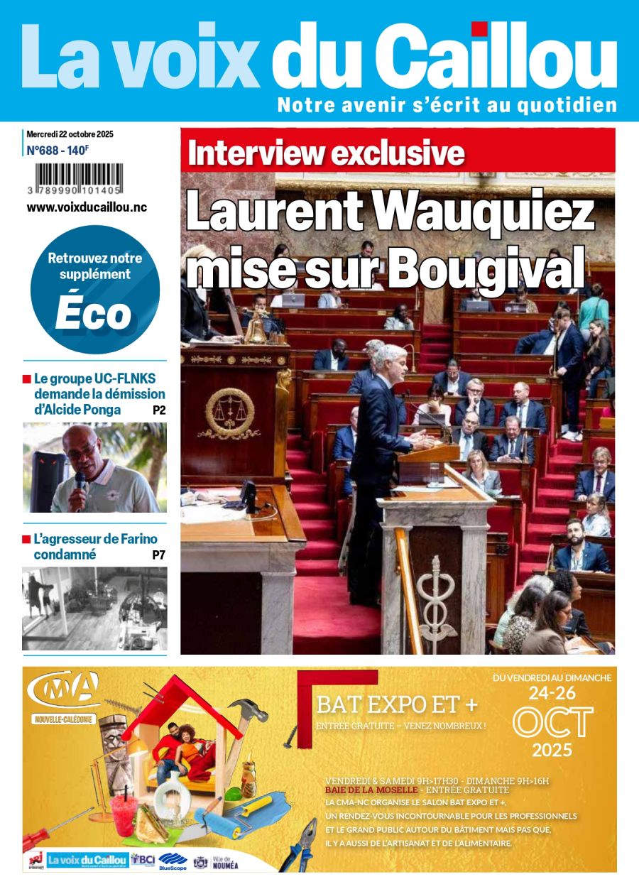 La voix du Caillou #688 - La Voix du Caillou